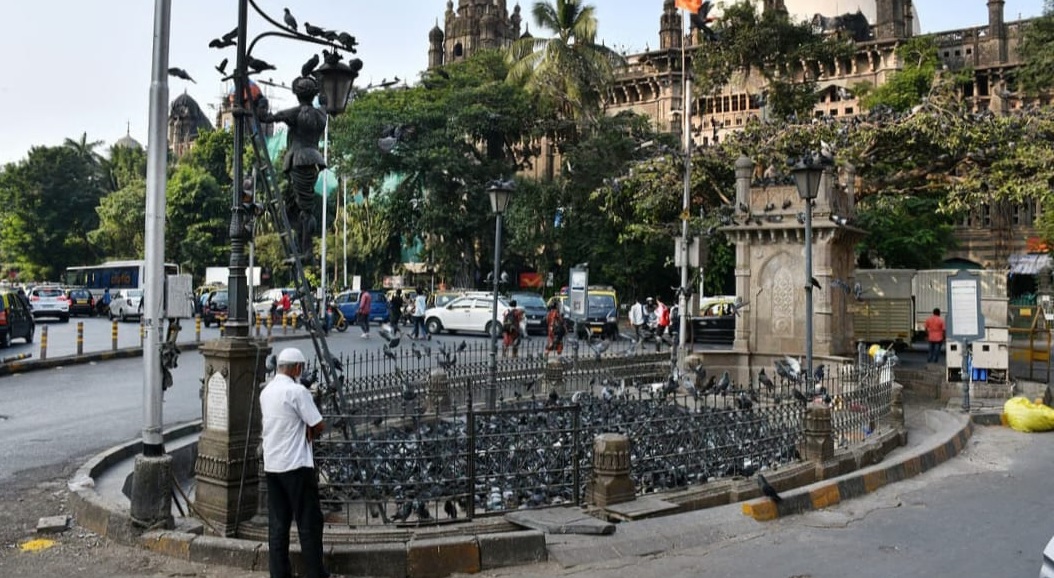 Mumbai News: शहर में लगा कबूतरखानों पर बैन